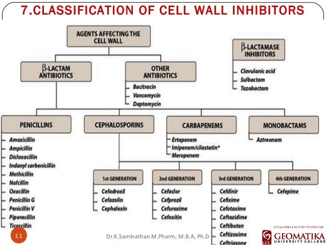 2.ANTIBIOTIC (CELL WALL INHIBITORS)