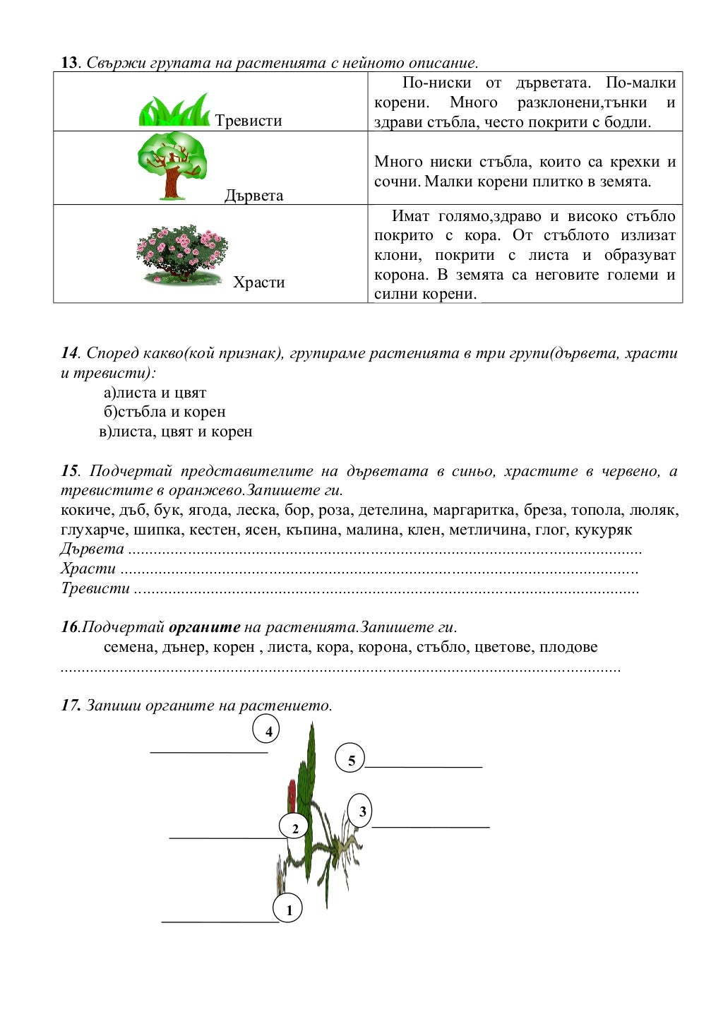 Oколен свят 2.клас входно ниво