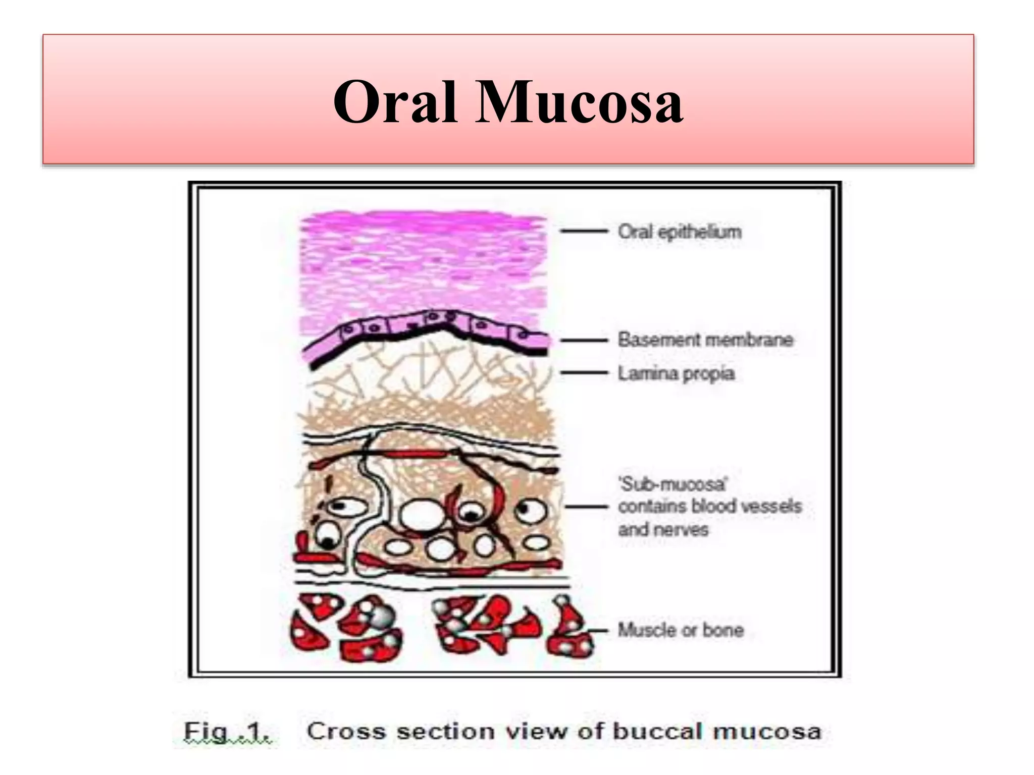buccal drug delivery system | PPTX