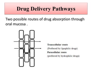 buccal drug delivery system | PPTX