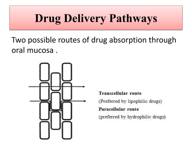 buccal drug delivery system | PPTX