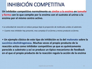 ENZIMAS: cinética enzimática e inhibicion | PPTX