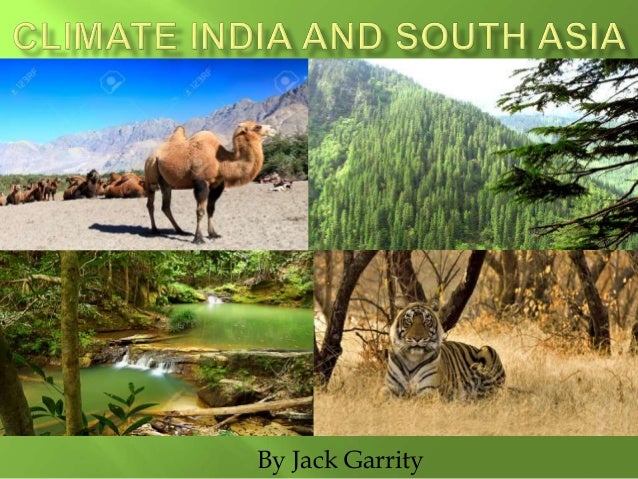 Vegetation Map Of Asia