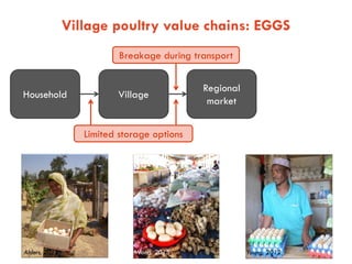 2.3 village chicken and egg value chains 2015 08 18 | PPT