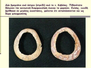 Νεολιθική εποχή | PPT