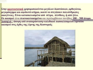 Νεολιθική εποχή | PPT