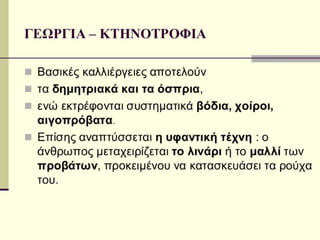 Νεολιθική εποχή | PPT