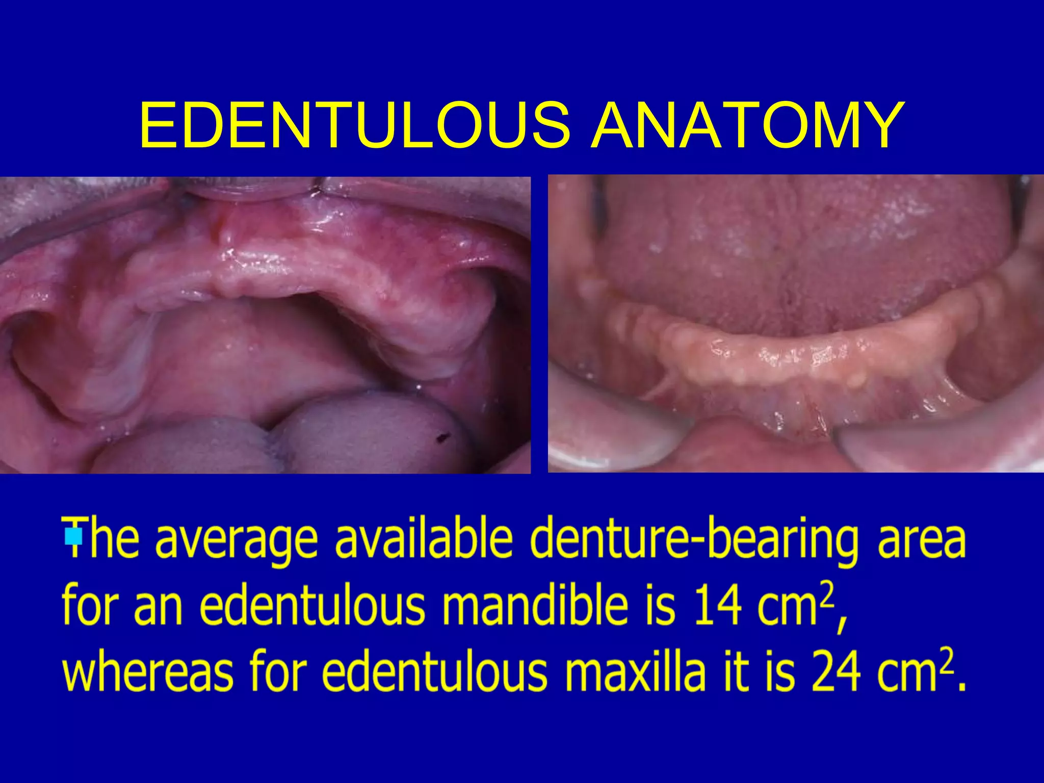 oral anatomy | PPT