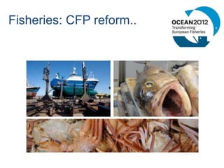 2. Chris Williams NEFs Marine Socio Economics Project | PDF
