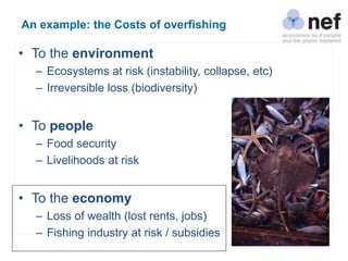 2. Chris Williams NEFs Marine Socio Economics Project | PDF