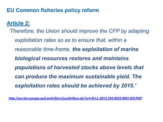 2. Chris Williams NEFs Marine Socio Economics Project | PDF