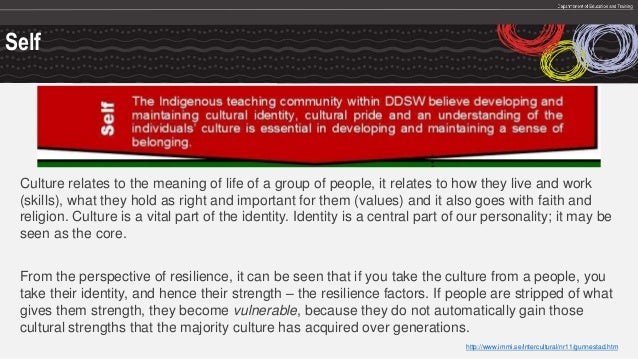 Cultural Resilience: A Framework for Indigenous Educators