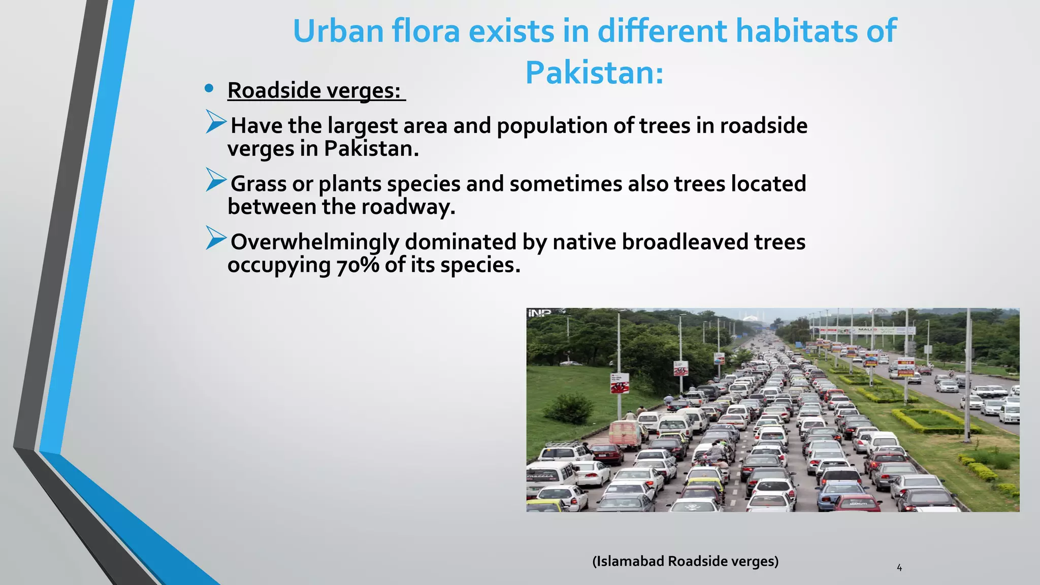 Urban flora of pakistan | PPT