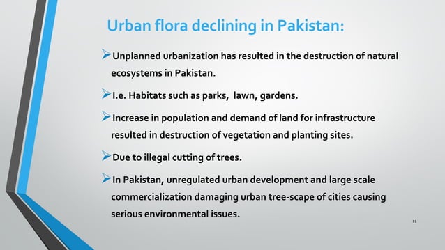 Urban flora of pakistan | PPT