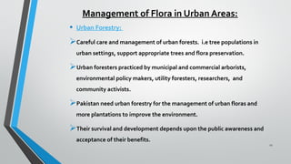 Urban flora of pakistan | PPT