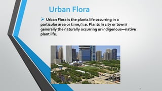 Urban flora of pakistan | PPT