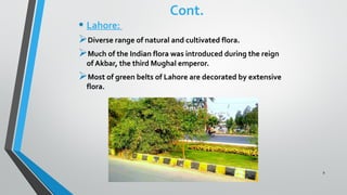 Urban flora of pakistan | PPT