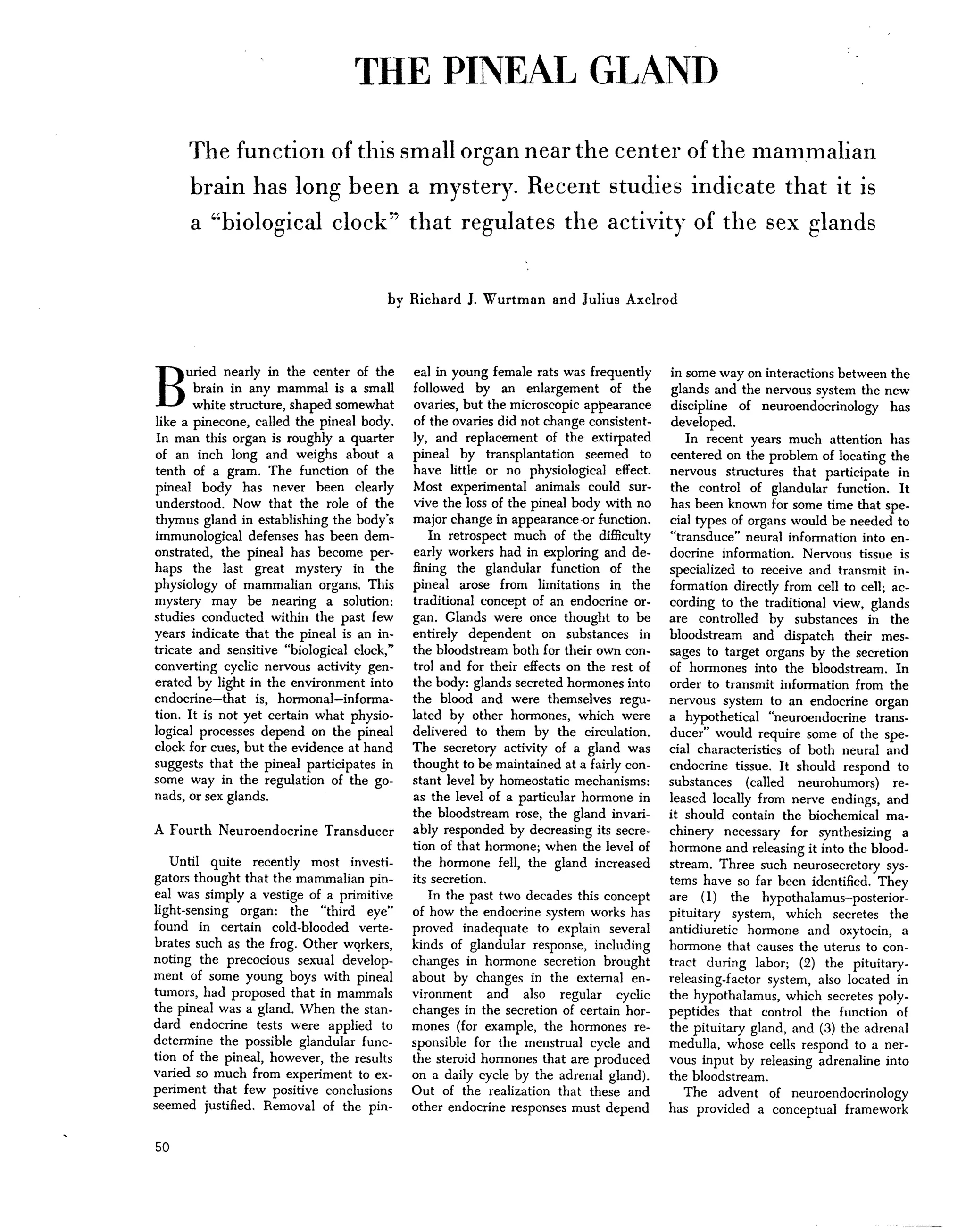 The pineal gland | PDF