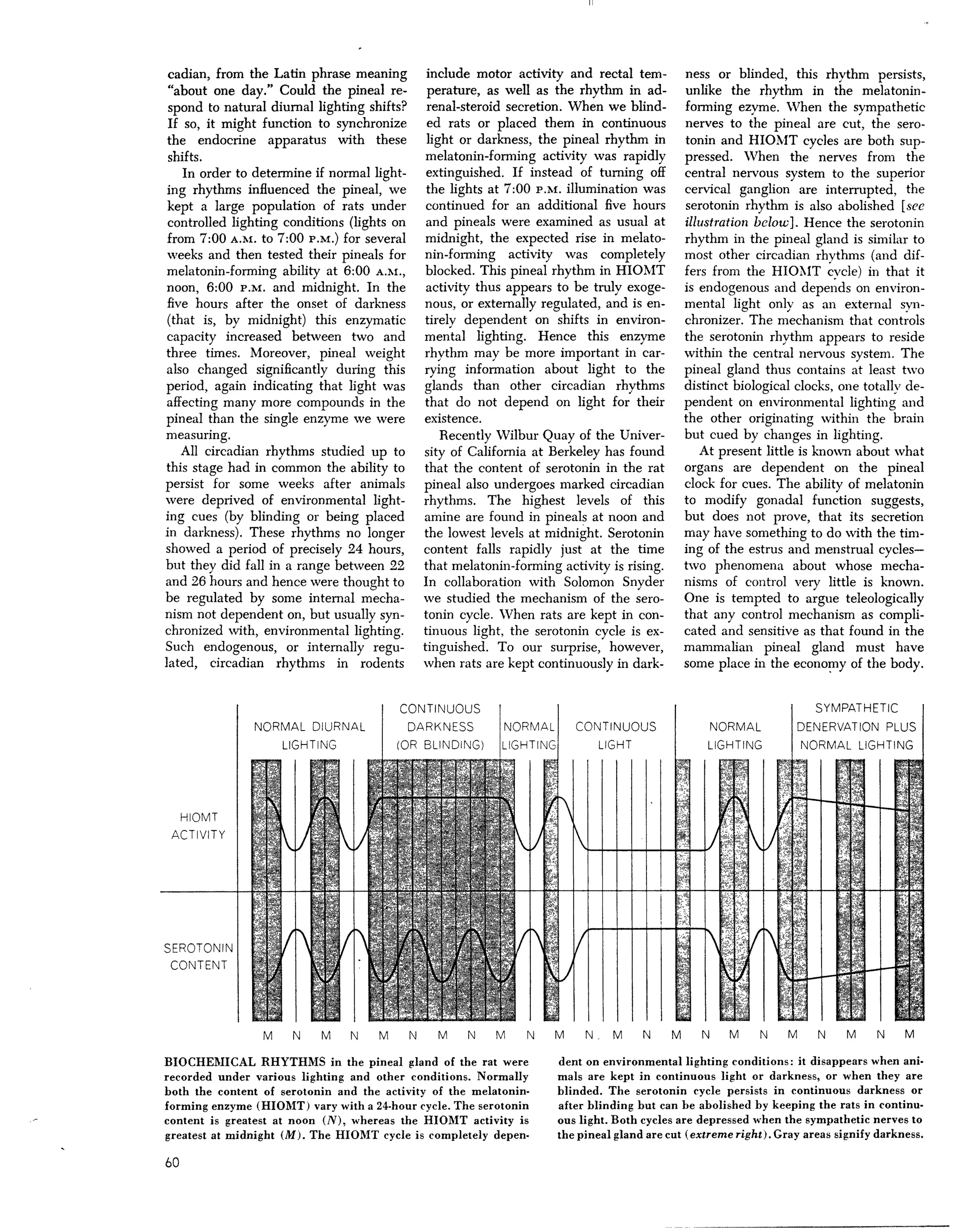 The pineal gland | PDF