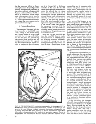 The pineal gland | PDF