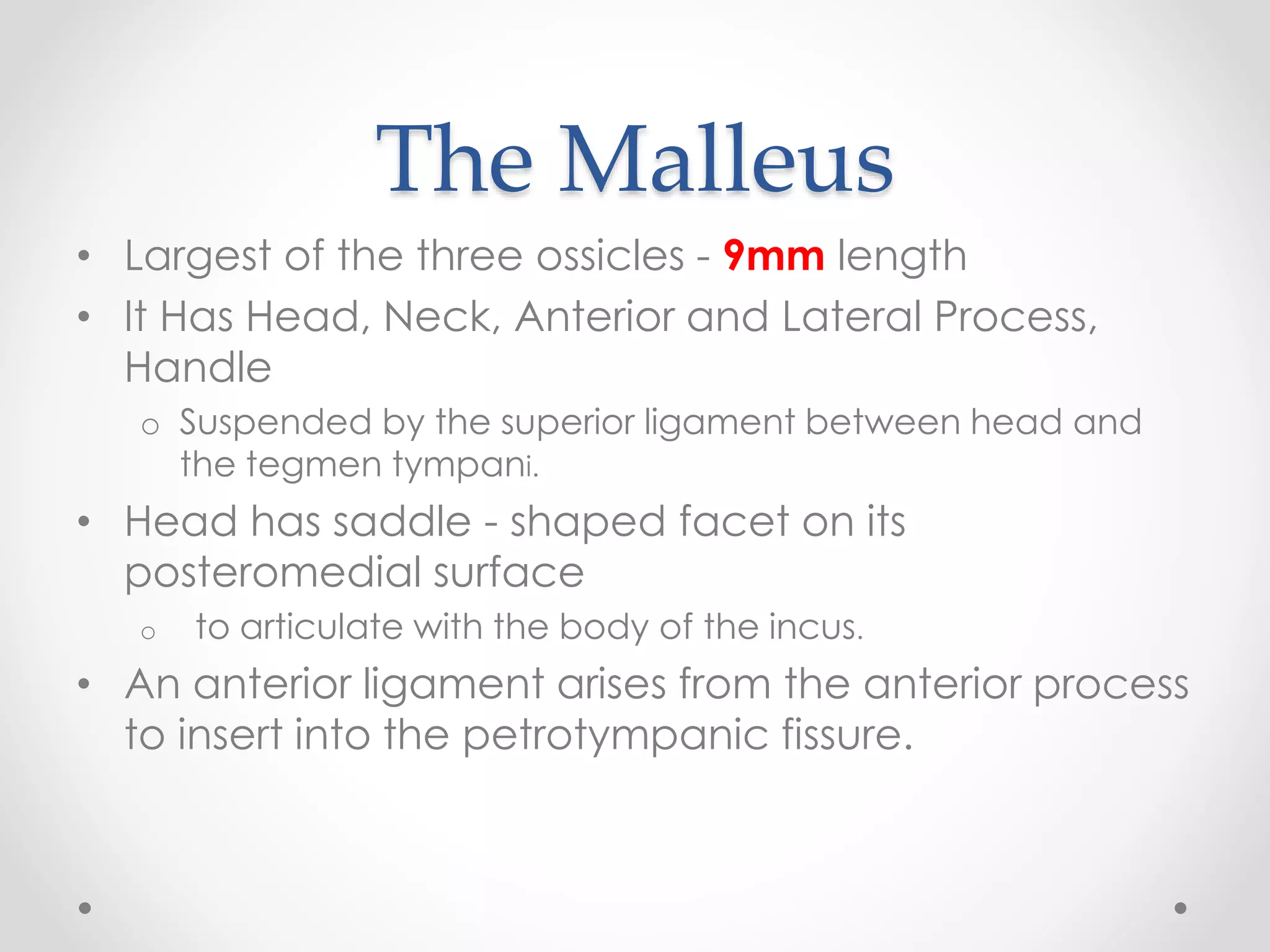 Anatomy of middle ear | PPTX | Death, Injury, or Military Conflict ...