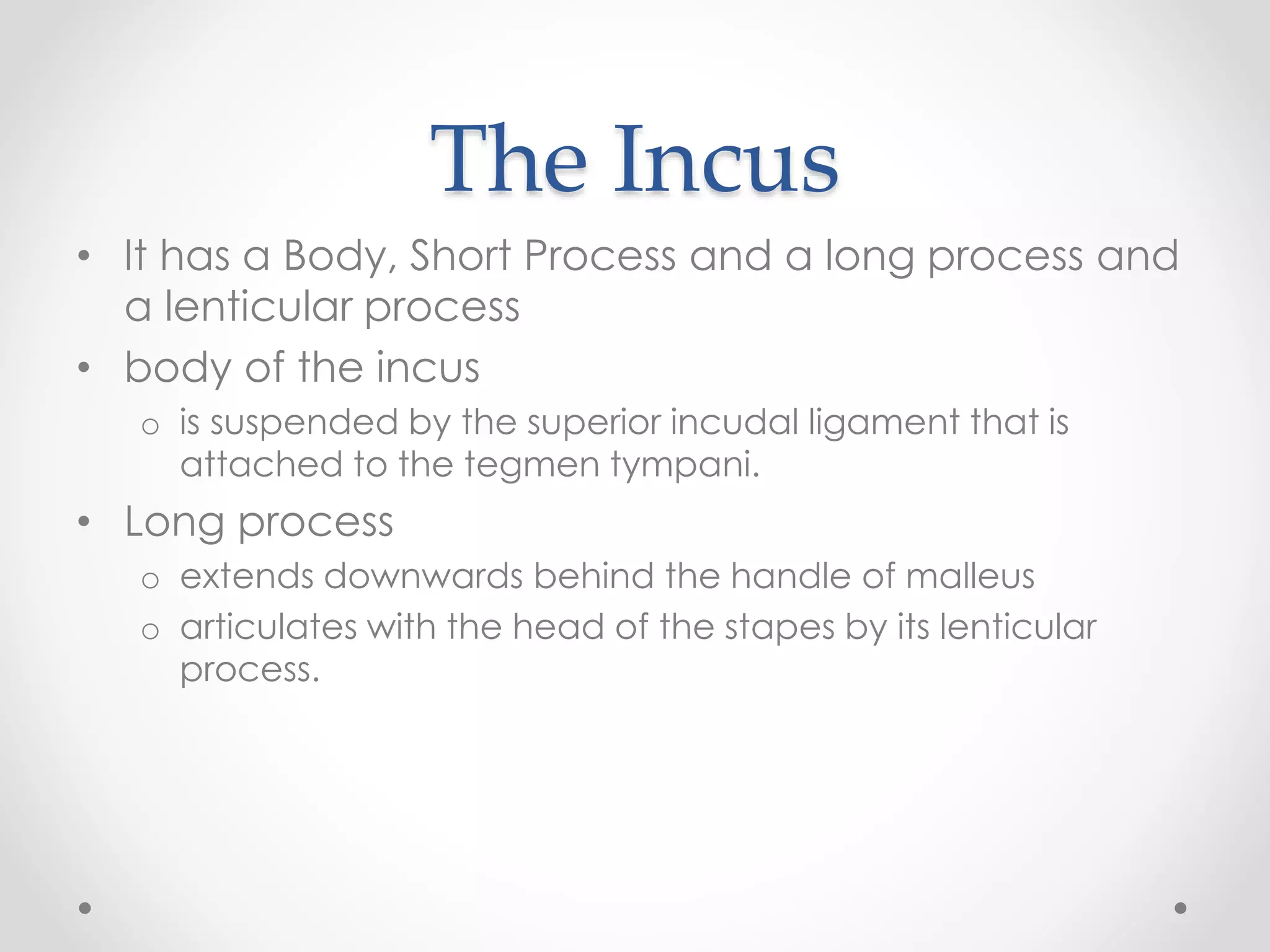 Anatomy of middle ear | PPTX
