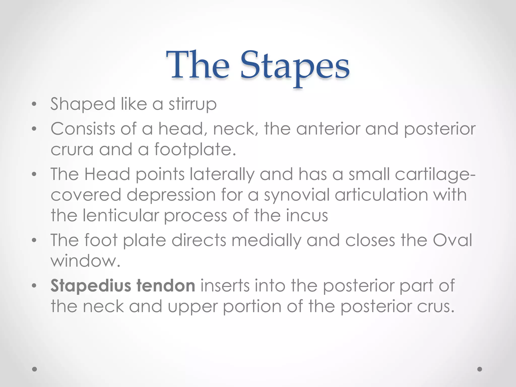 Anatomy of middle ear | PPTX
