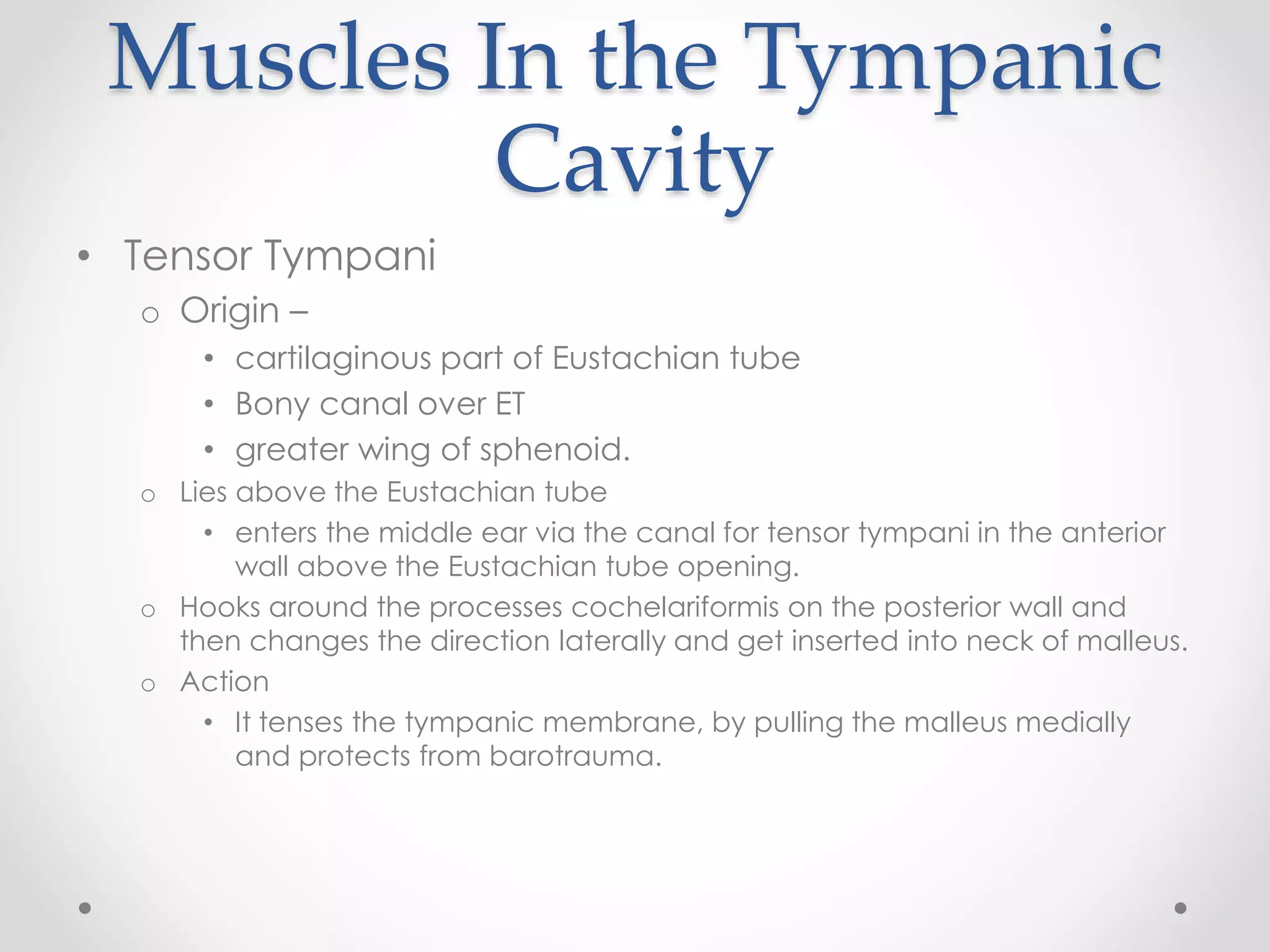 Anatomy of middle ear | PPTX