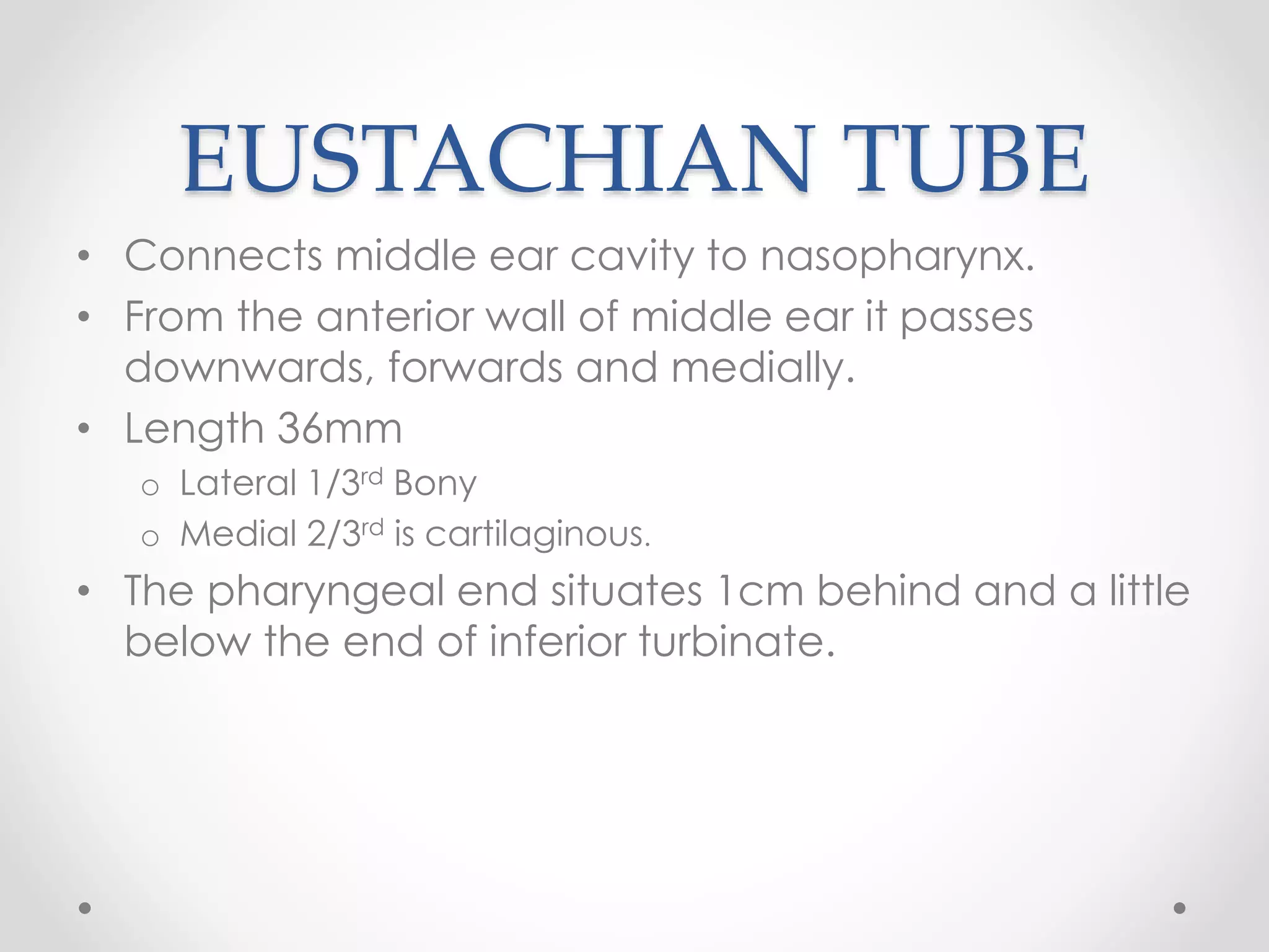 Anatomy of middle ear | PPTX