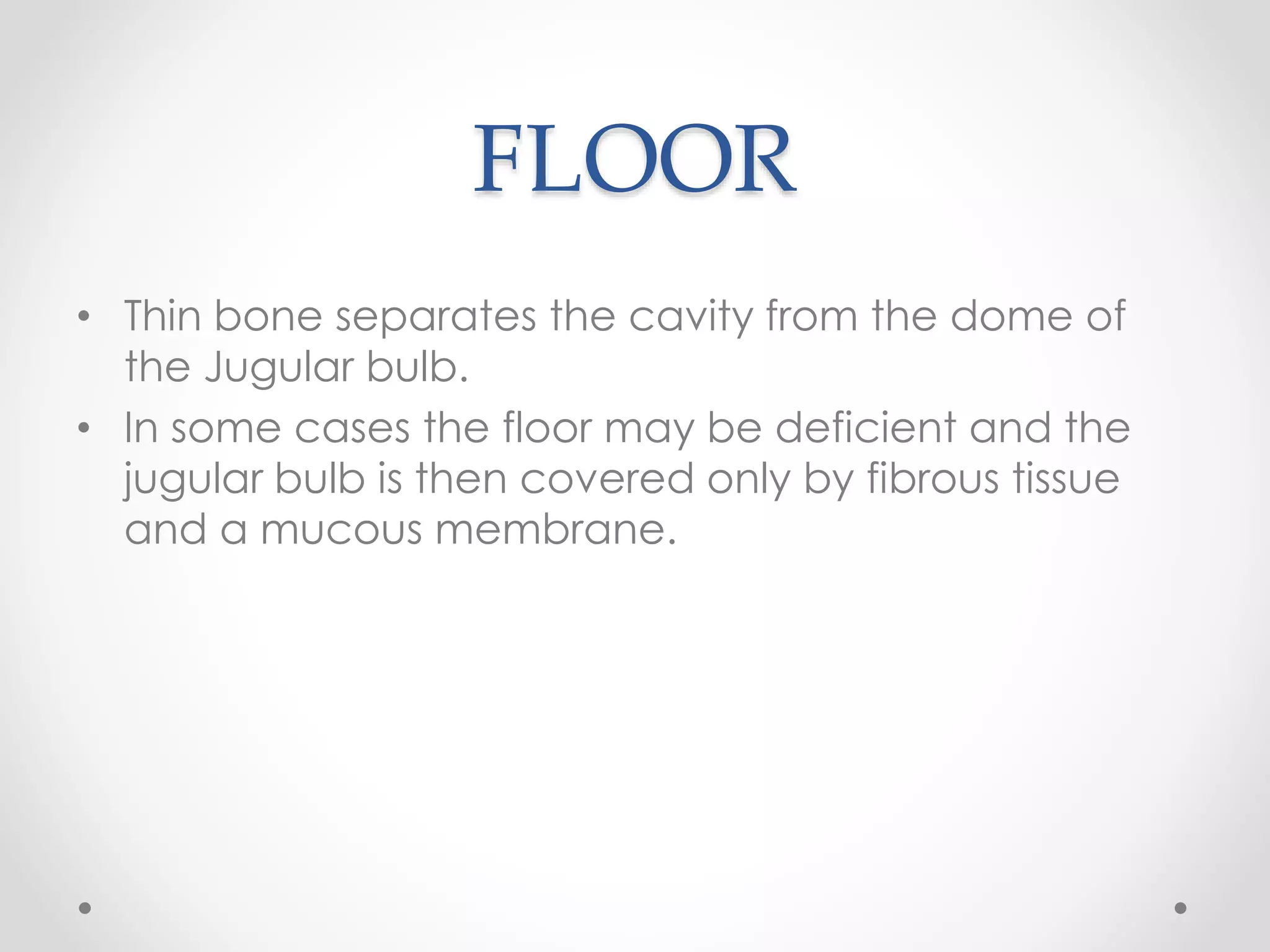 Anatomy of middle ear | PPTX