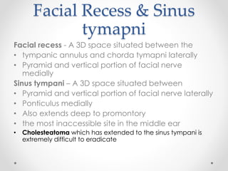 Anatomy of middle ear | PPTX