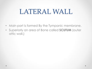 Anatomy of middle ear | PPTX | Death, Injury, or Military Conflict ...