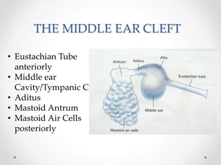 Anatomy of middle ear | PPT