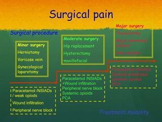 dr. Tinni - Anelgesic NSAID in WFSA Ladder | PPT