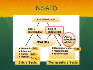 dr. Tinni - Anelgesic NSAID in WFSA Ladder | PPT