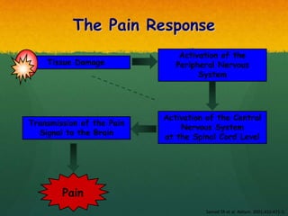 dr. Tinni - Anelgesic NSAID in WFSA Ladder | PPT