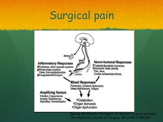 dr. Tinni - Anelgesic NSAID in WFSA Ladder | PPT