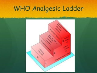 dr. Tinni - Anelgesic NSAID in WFSA Ladder | PPT