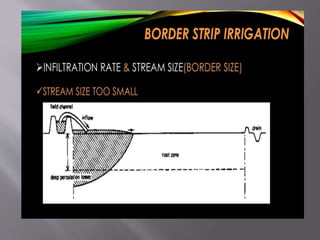2.surface irrigation methods border irrigation A Lecture By Mr. Allah ...