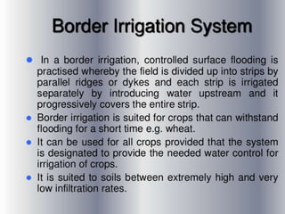 2.surface irrigation methods border irrigation A Lecture By Mr. Allah ...