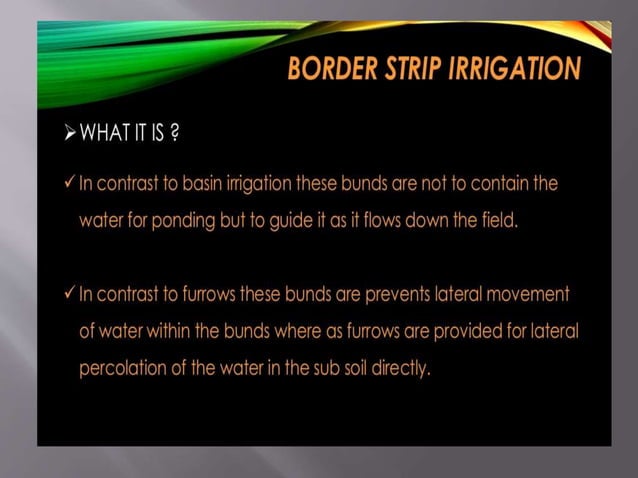 2.surface irrigation methods border irrigation A Lecture By Mr. Allah ...