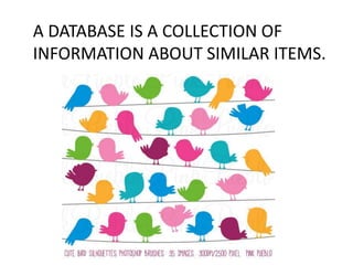 What is a database? | PPT