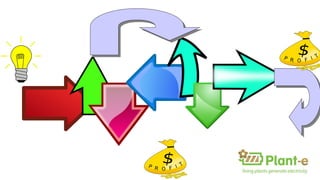 Session 2 - Presentation by Marjolein Helder | PPT