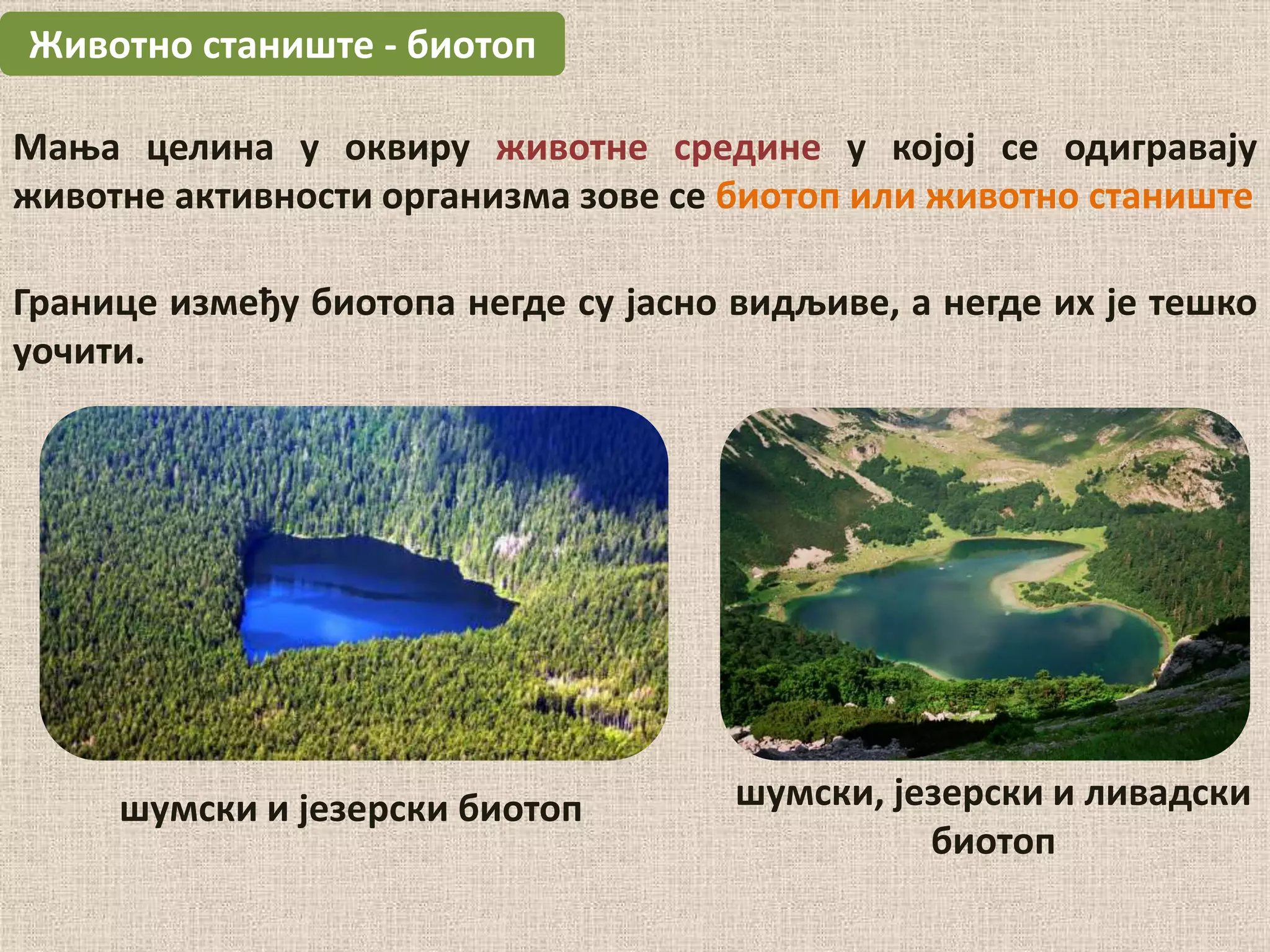 Zivotna sredina i biotop | PPTX