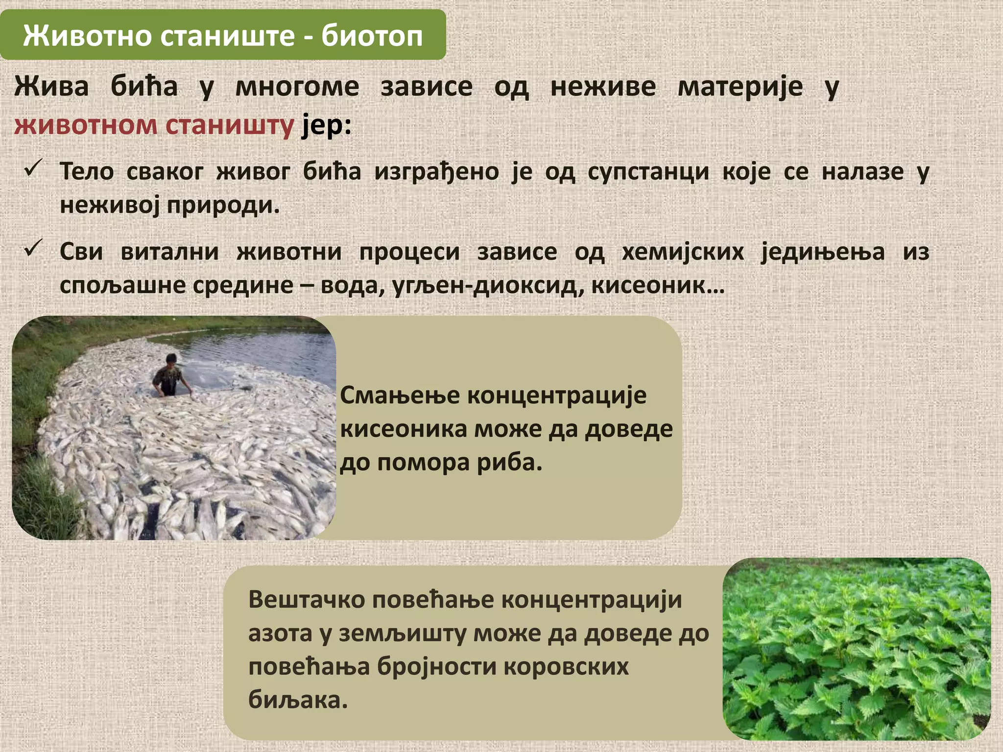 Zivotna sredina i biotop | PPTX