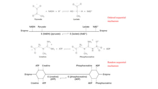 2.order of reaction & mm equ | PPT
