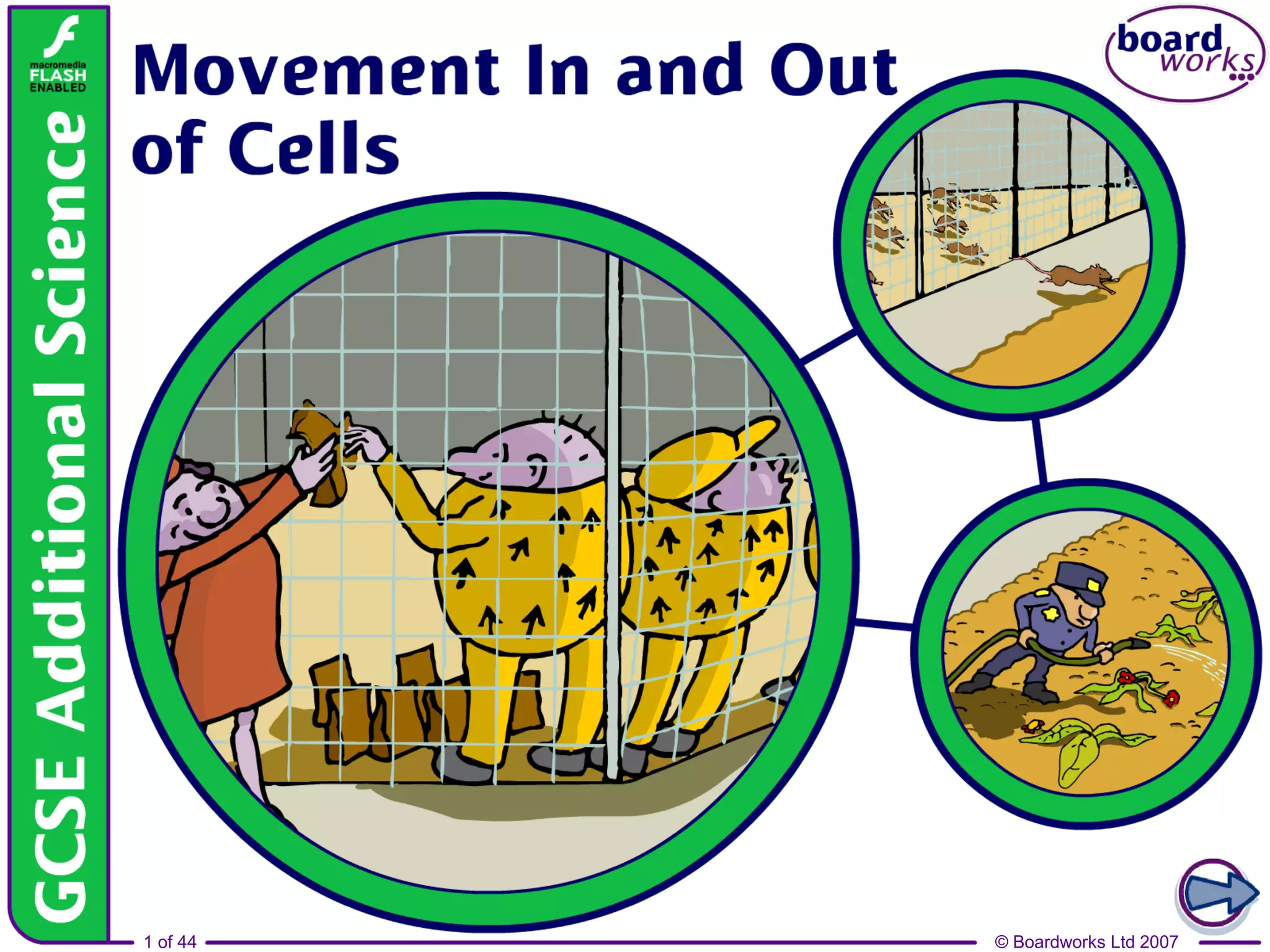 Movement in and out of cells | PPT