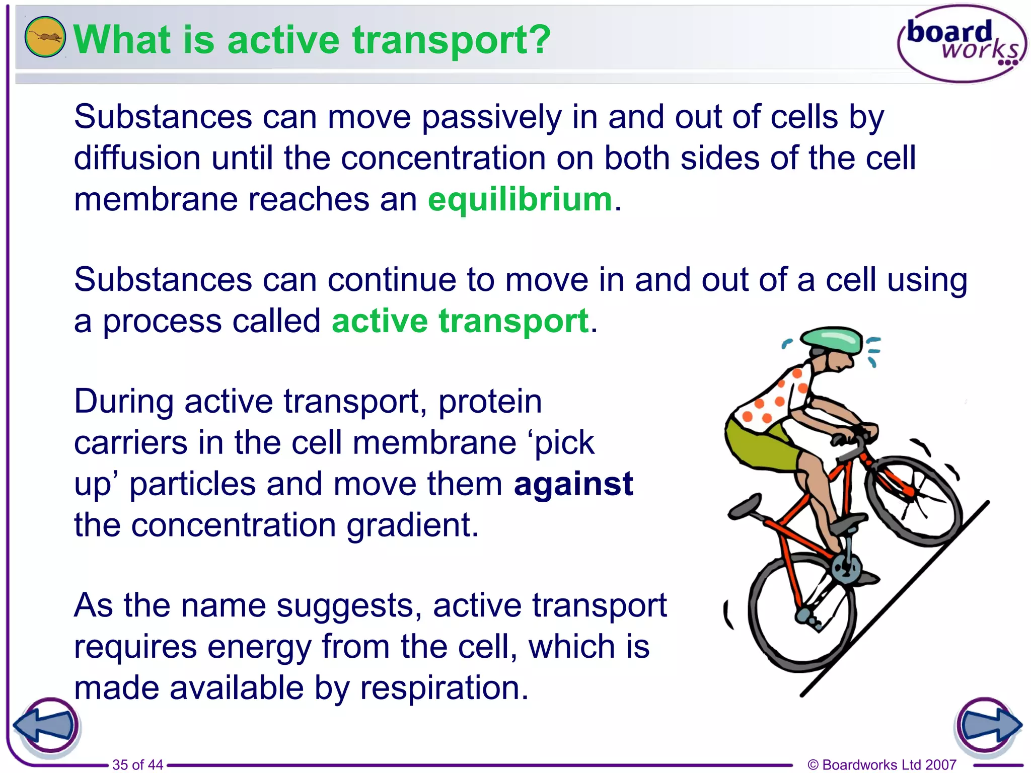 Movement in and out of cells | PPT