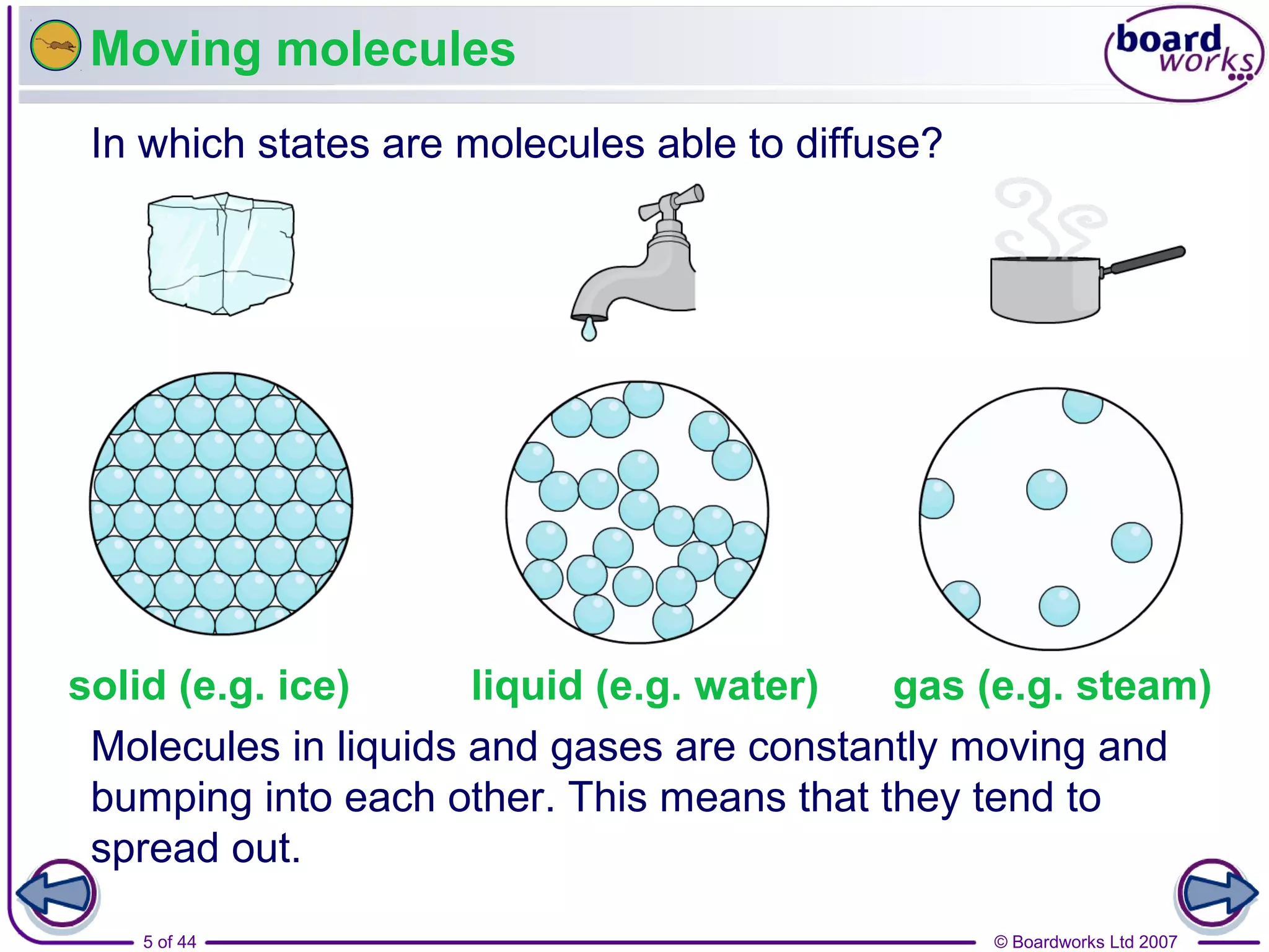 Movement in and out of cells | PPT