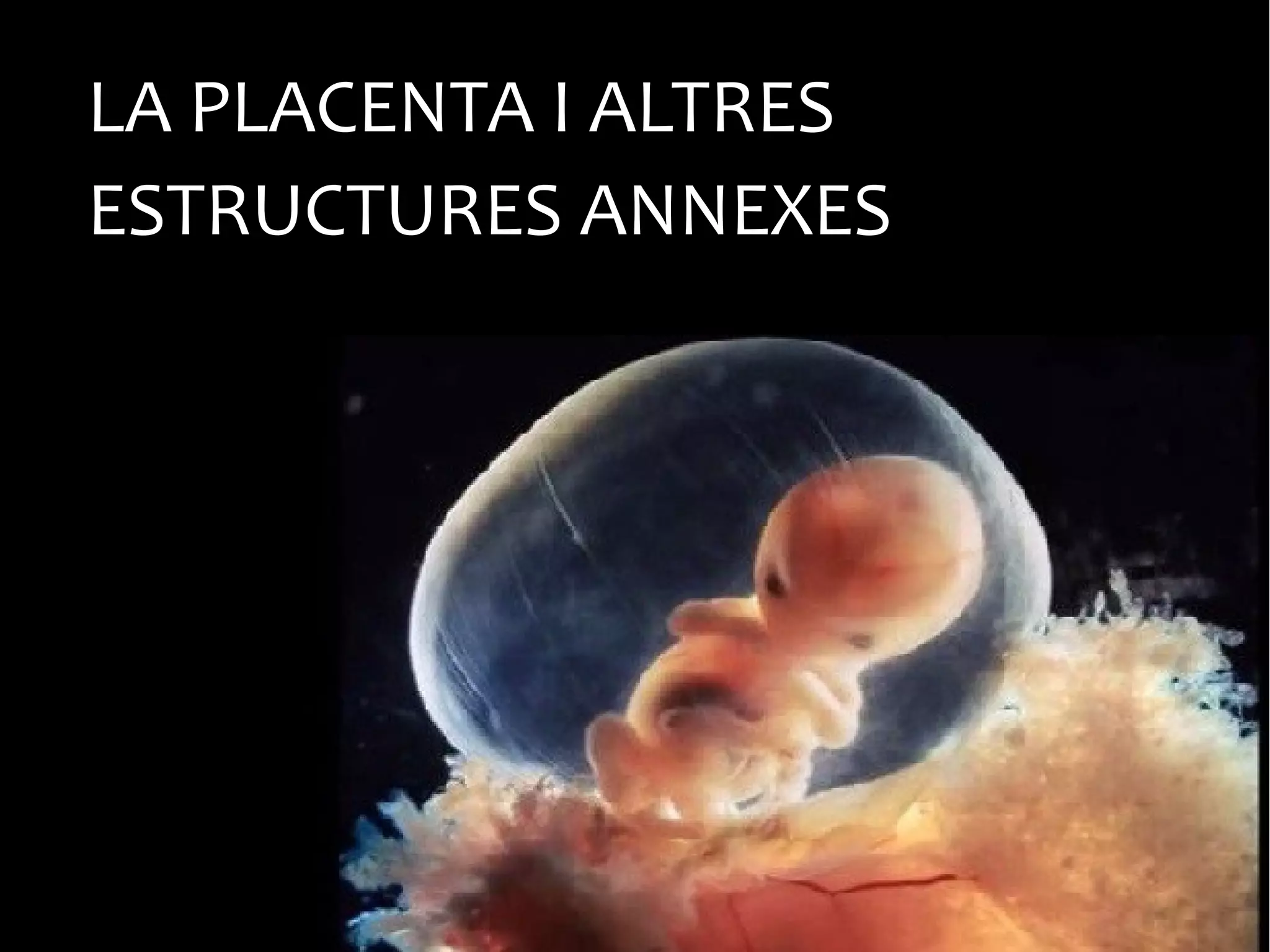 La placenta i altres estructures annexes | PPT